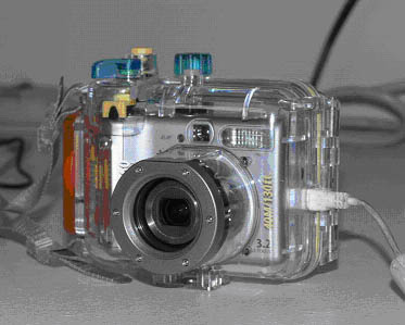 Vertical Access Quarterly